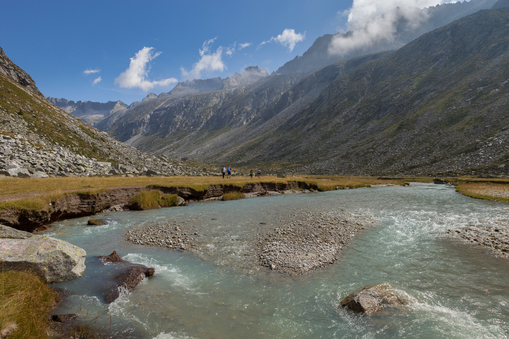 L’arte rupestre della Val Camonica – La Tua Italia